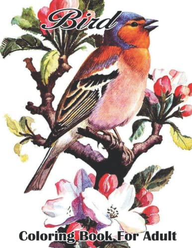 Birds coloring books for adults: This Large Print Coloring Book For ...