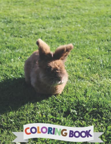 Coloring Book Cute And Lovable Baby Animals From Forests, Oceans And ...