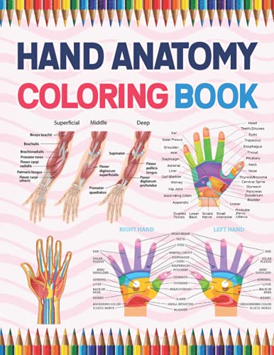 Hand Anatomy Coloring Book: Hand Anatomy Coloring Book for kids. Human ...
