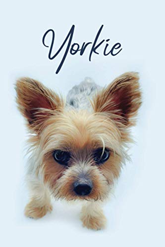 Yorkshire Terrier Notebook. Yorkie Lined Journal College Ruled Pages ...