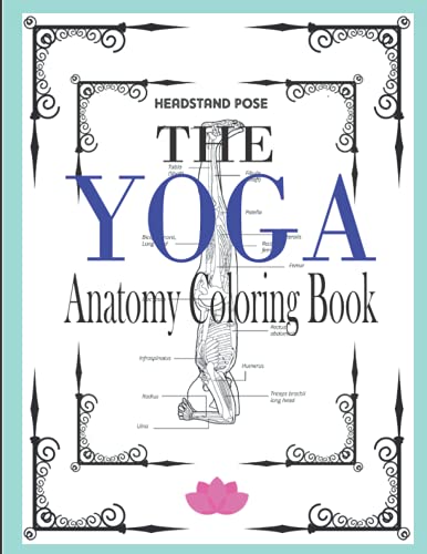 The Yoga Anatomy Coloring Book A Yoga Coloring Book For Adults With