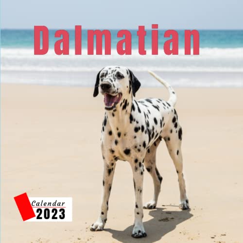 Dalmatian Calendar 2023: 12 Monthly Grid Space for Plans and Schedules ...