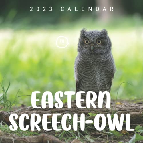Eastern Screech-Owl Calendar: 18-month 2023 Calendar - Large monthly ...