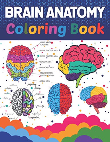 Brain Anatomy Coloring Book: Fun and Easy Human Brain Anatomy Coloring ...