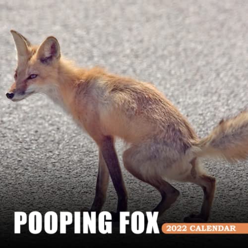 GAG GIFT: Fox Pooping Calendar 2022: Funny Naughty Gifts Calendar 2022 ...