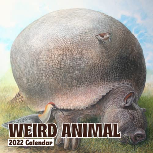 Weird Animal Calendar 2022: An Amazing Item That We Of Weird Animal ...
