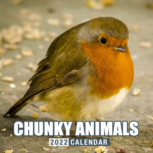 Lover Chunky Animals Calender 2022: An Amazing Item That We Of Chunky ...