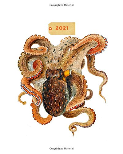 2021: octopus 8x10 unique calendar planner notebook : year views ...