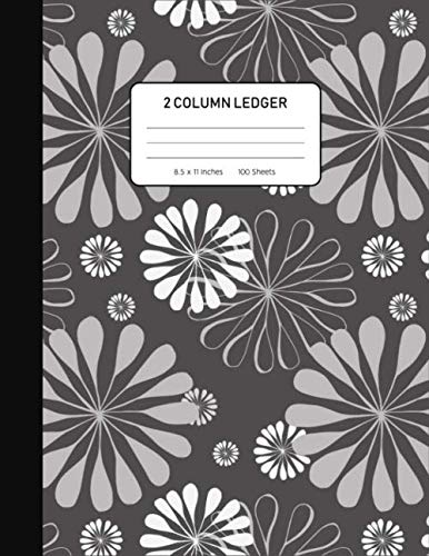 2 Column Ledger: Accounting Book, Accounting Ledger Notebook, Monthly ...