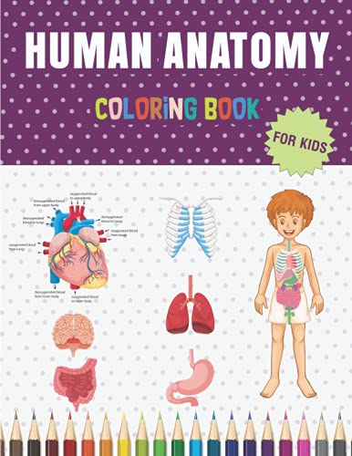 Human Anatomy Coloring Book For Kids The Anatomy Coloring Book Is An