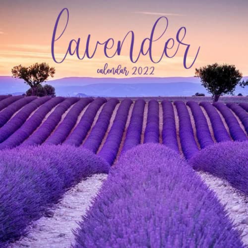 Lavender 2022 Calendar: Scenic Flower Garden 12-Month Square Monthly ...