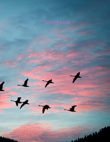 Notebook (Birds Notebooks) by Cynthia Caron | Goodreads