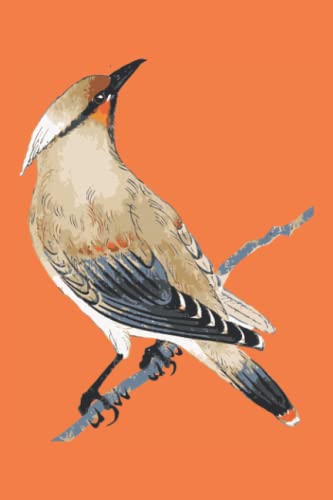Brown Bird Notebook: Temptatious Tangerine Matte Finish Lined Journal ...
