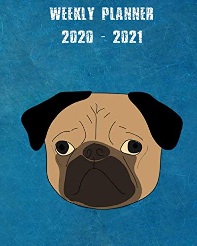 2020-2021 Weekly Planner: 2 Year Weekly & Monthly View Organizer ...
