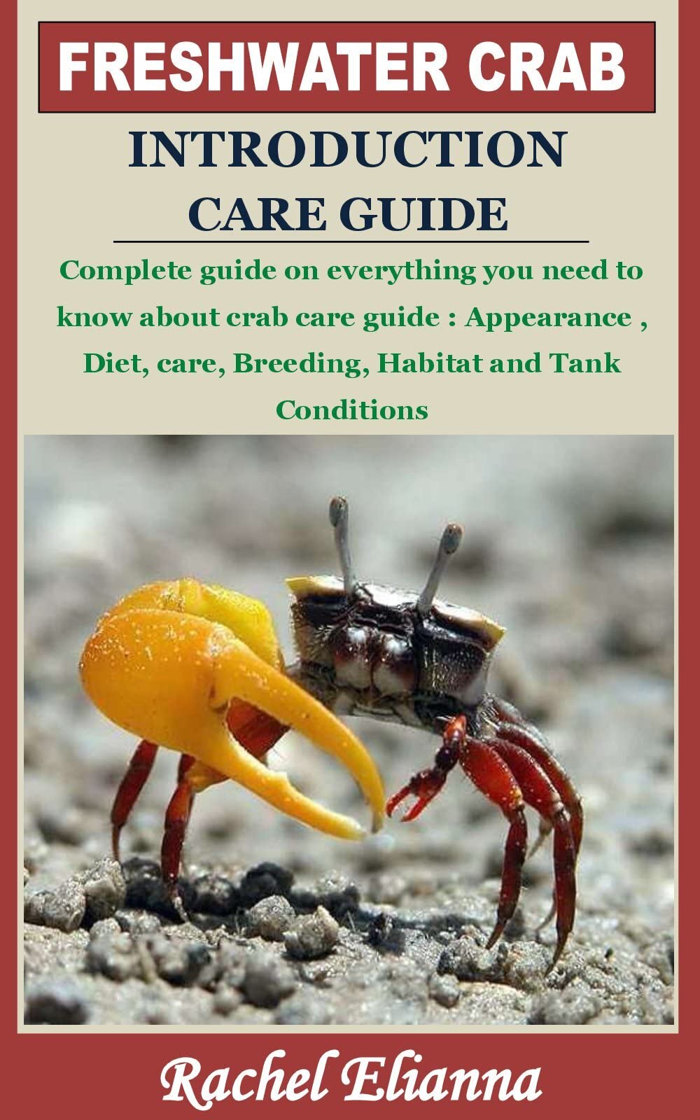 FRESHWATER CRAB INTRODUCTION CARE GUIDE: Complete guide on everything ...
