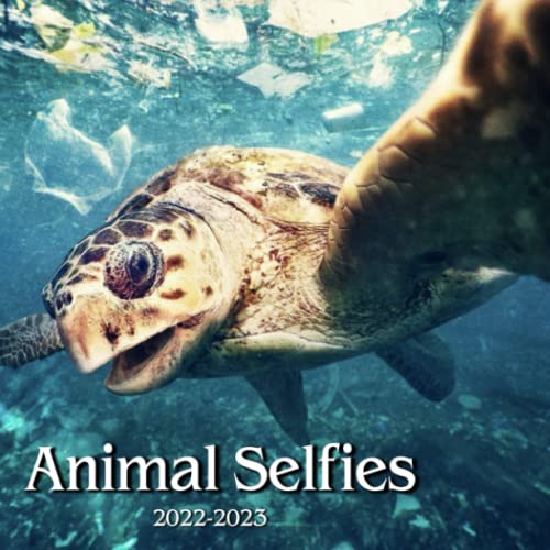 Animal Selfies 2022 Calendar: Funny & Awkward Face Positions Gift Idea ...