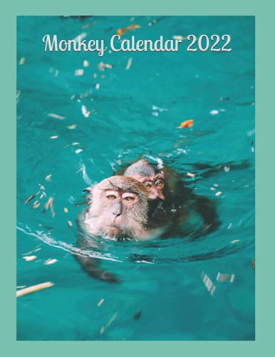 Monkey Calendar 2022 by Corn | Goodreads