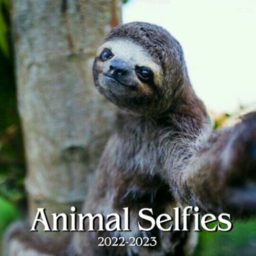 Animal Selfies 2022 Calendar: Funny & Awkward Face Positions Gift Idea ...
