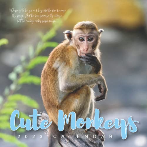 Cute Monkeys Calendar: Beautiful 18-month 2023 Calendar - Gift for ...