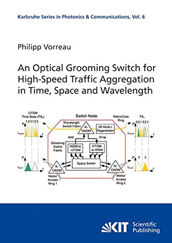 An Optical Grooming Switch for High-Speed Traffic Aggregation in Time ...