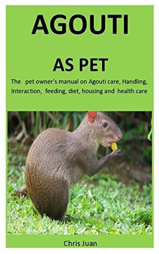 Agouti As Pet: The pet owner’s manual on Agouti care, Handling ...