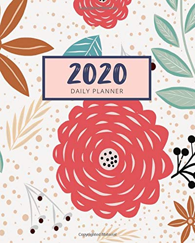 2020 Weekly Planner: Jan 1, 2020 to Dec 31, 2020 - Daily View Yearly ...