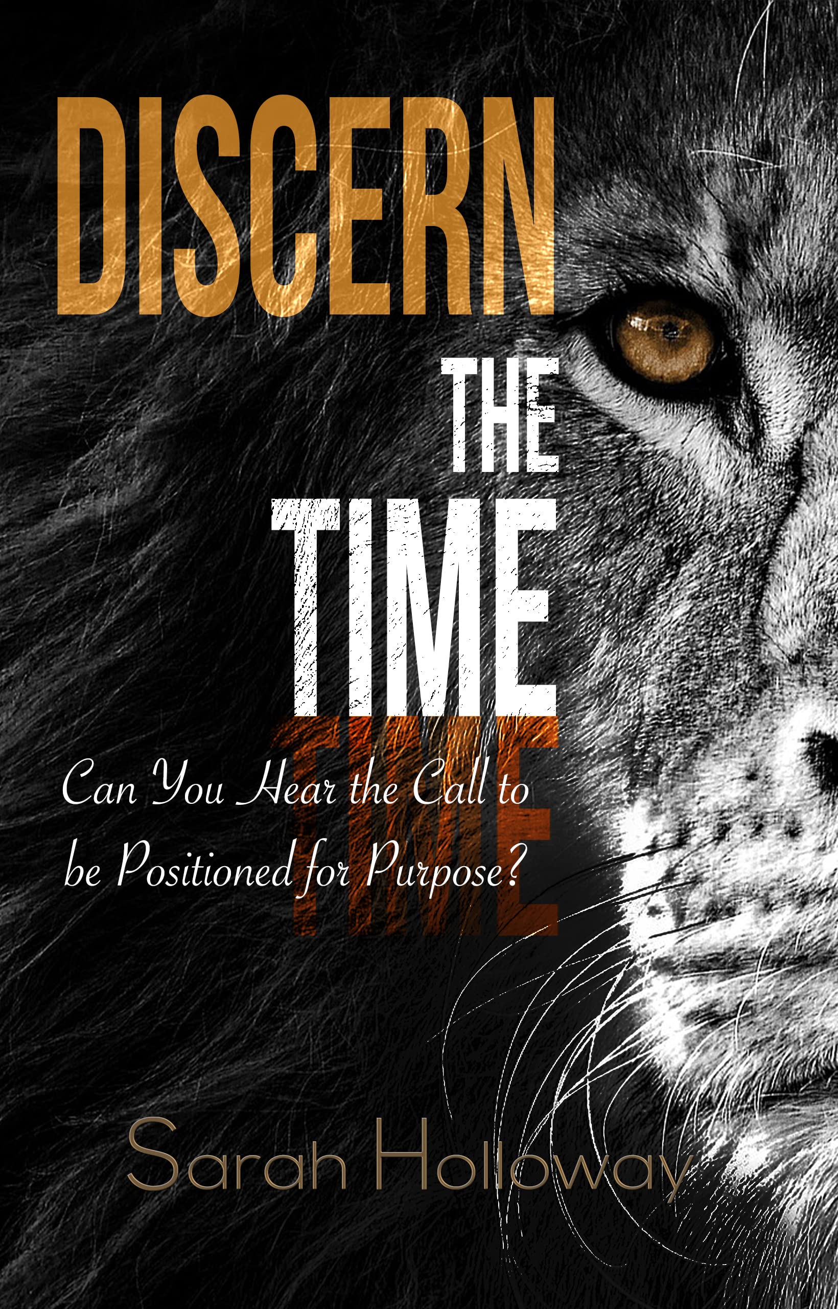 Discern the Time: Can you Hear the Call to be Positioned for Purpose by ...