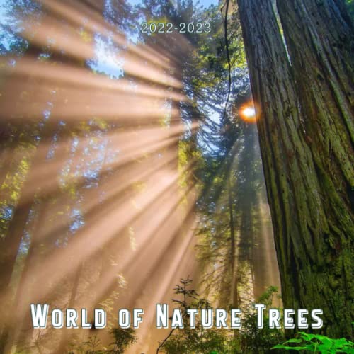 World of Nature Trees 2022 Calendar: Magnificent Trees Gift Idea 2022 ...