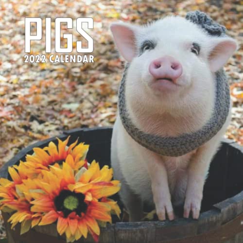 Pigs Calendar 2022: Funny pigs Lovers Gag Joke Gift for Women, Men ,Men ...