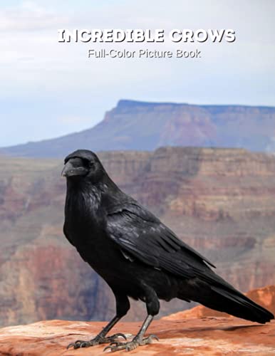 Incredible Crows Full-Color Picture Book: Birds Photography Book - Bird ...