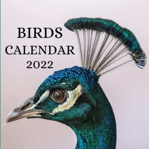 Birds Calendar 2022: Birds Mom or Dad Gift Idea | January 2022 ...