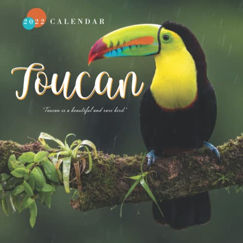 Toucan Calendar 2022: Fantastic Gifts For You, Your Family or Best ...
