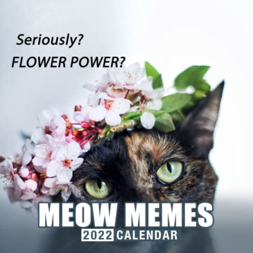 2022 Funny Meow Memes Calendar: A Great Gift For Memes Lovers To ...
