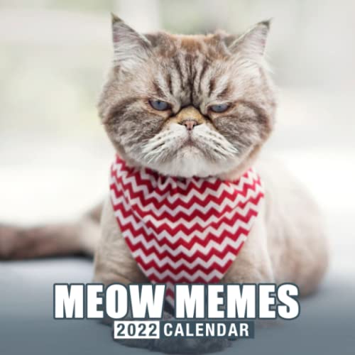 2022 Funny Meow Memes Calendar: A Great Gift For Memes Lovers To ...