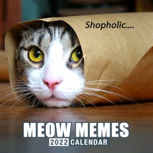2022 Funny Meow Memes Calendar: A Great Gift For Memes Lovers To ...