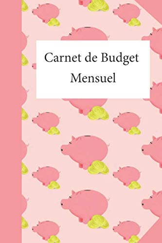 Carnet de budget Mensuel: Journal de compte pour visualiser votre ...
