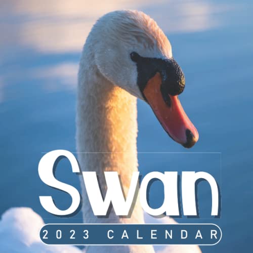 Swan Calendar: 18-month 2023 Calendar - Large monthly grid for note and ...