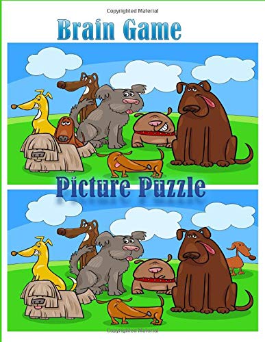 Brain Game Picture Puzzle: Spot the Differences: Search & Find Fun ...