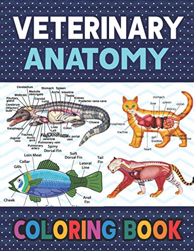 Veterinary Anatomy Coloring Book: Fun and Easy Veterinary Anatomy ...