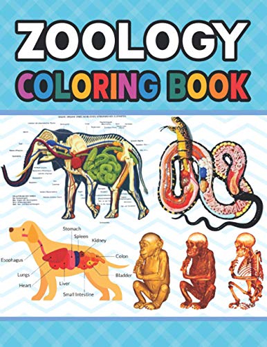 Zoology Coloring Book: Incredibly Detailed Self-Test Zoology Coloring ...