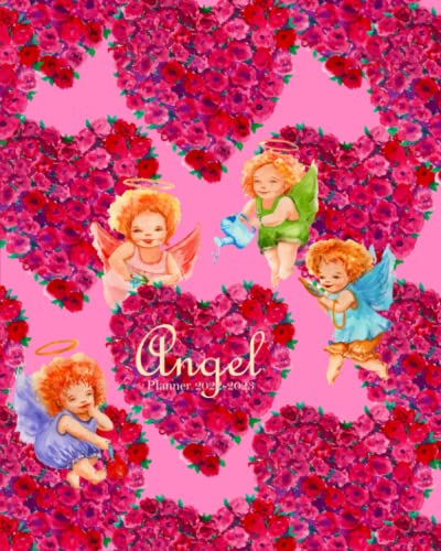 Angel Planner 2022 – 2023: Daily, Weekly and Monthly Planner | Angel ...