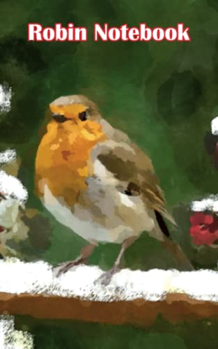 Robin Notebook: A Journal, Jotter or Composition Book by Mike Oxmaul ...