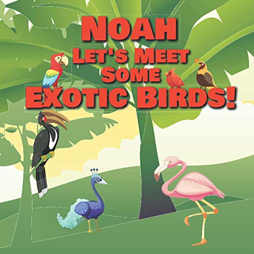 Noah Let’s Meet Some Exotic Birds!: Personalized Kids Books with Name ...