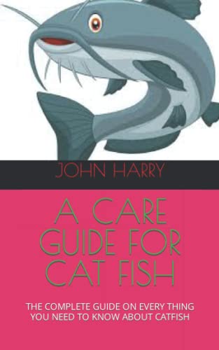 A CARE GUIDE FOR CAT FISH: THE COMPLETE GUIDE ON EVERY THING YOU NEED ...