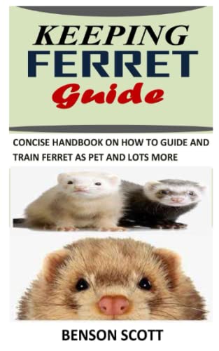 KEEPING FERRET GUIDE: Concise Handbook On How To Guide And Train Ferret ...