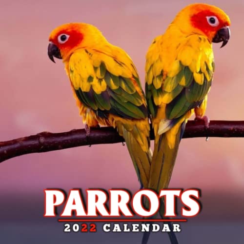 Wild Animals Parrots 2022 Calendar: Animals Calendar 2022, Squared ...