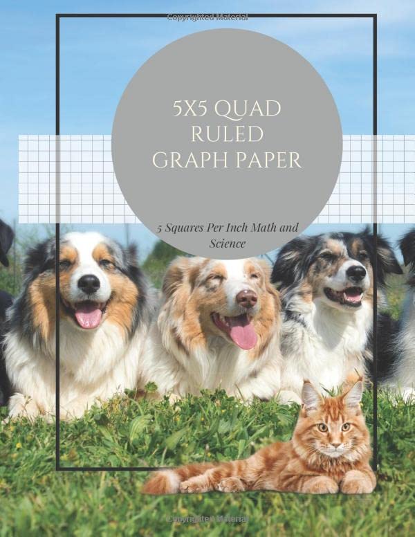 5x5 Quad Ruled Graph Paper: 300 Pages Quad-ruled Paper Large ...