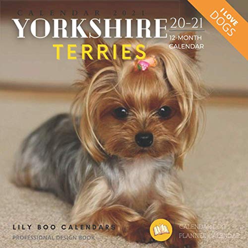 Calendar 2021 Yorkshire Terries: 12 month calendar 2020 - 2021 by Lily ...