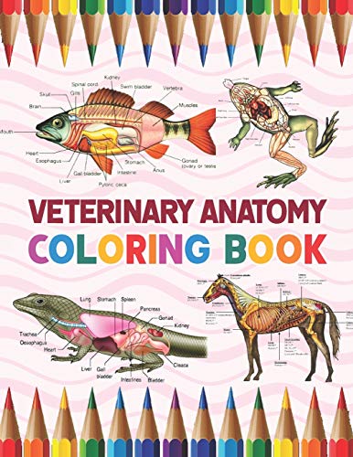 Veterinary Anatomy Coloring Book: Incredibly Detailed Self-Test ...