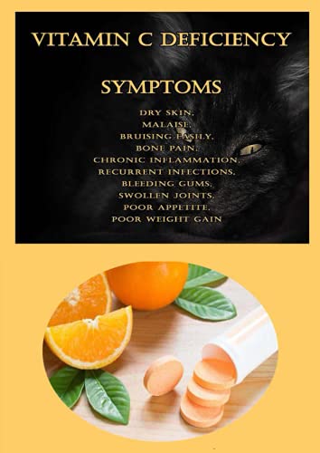 Vitamin C Deficiency Symptoms: Dry Skin, Malaise, Bruising Easily, Bone ...